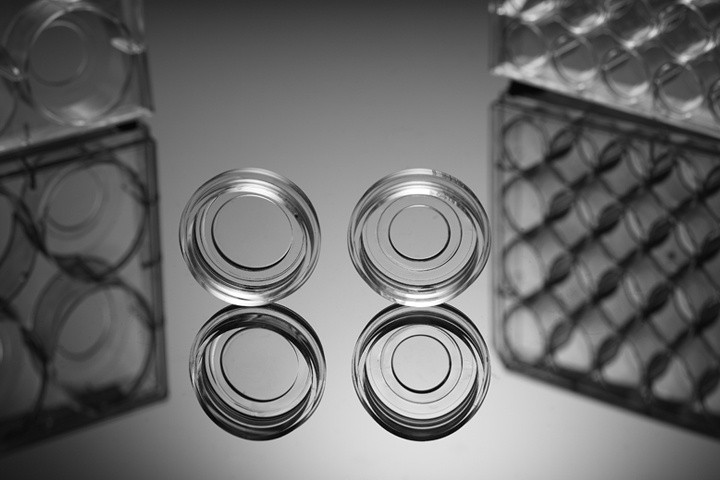 glass bottom dishes – AssayCell Technologies
